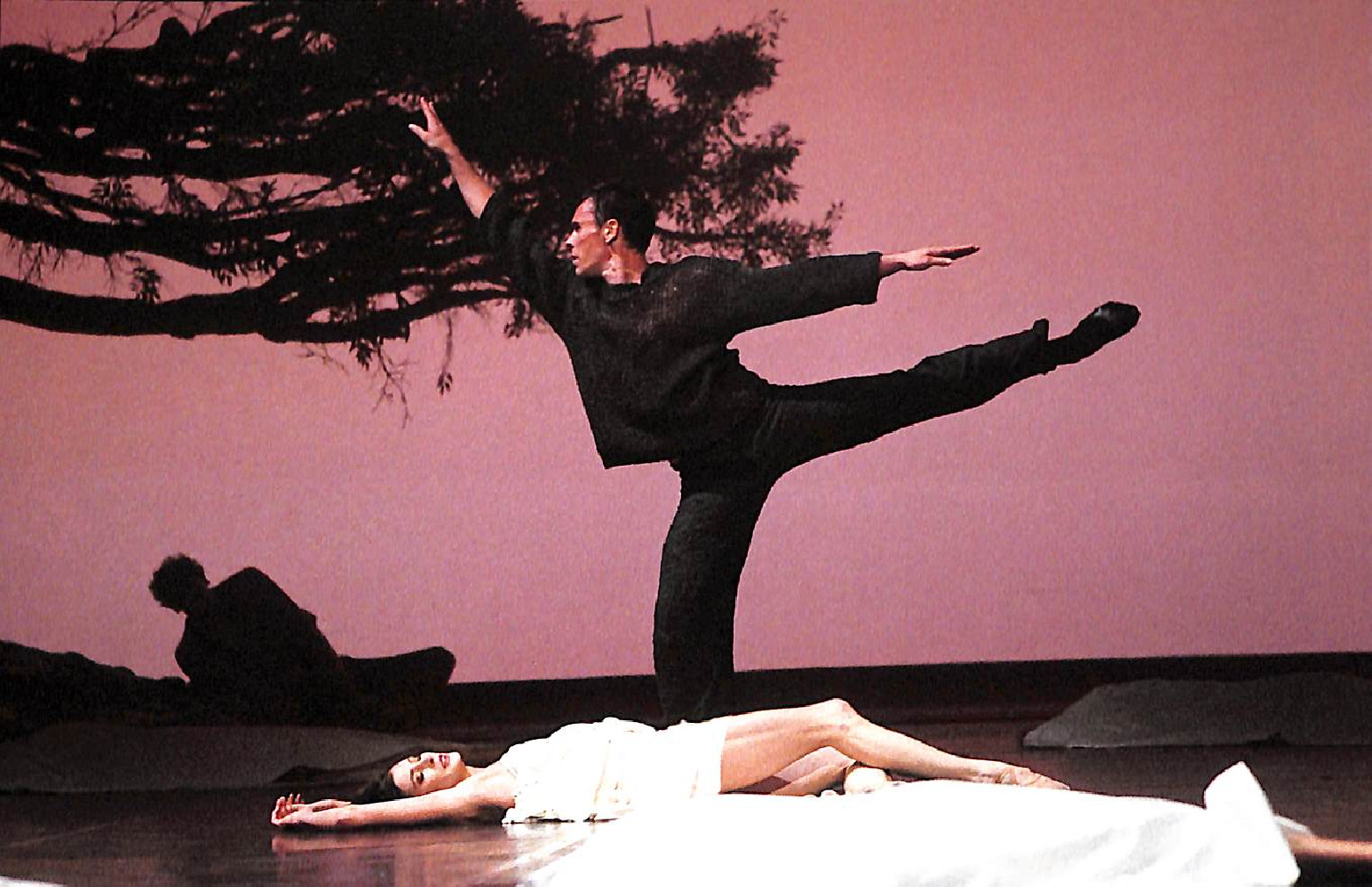 Nicolas le Riche - Mona lisait