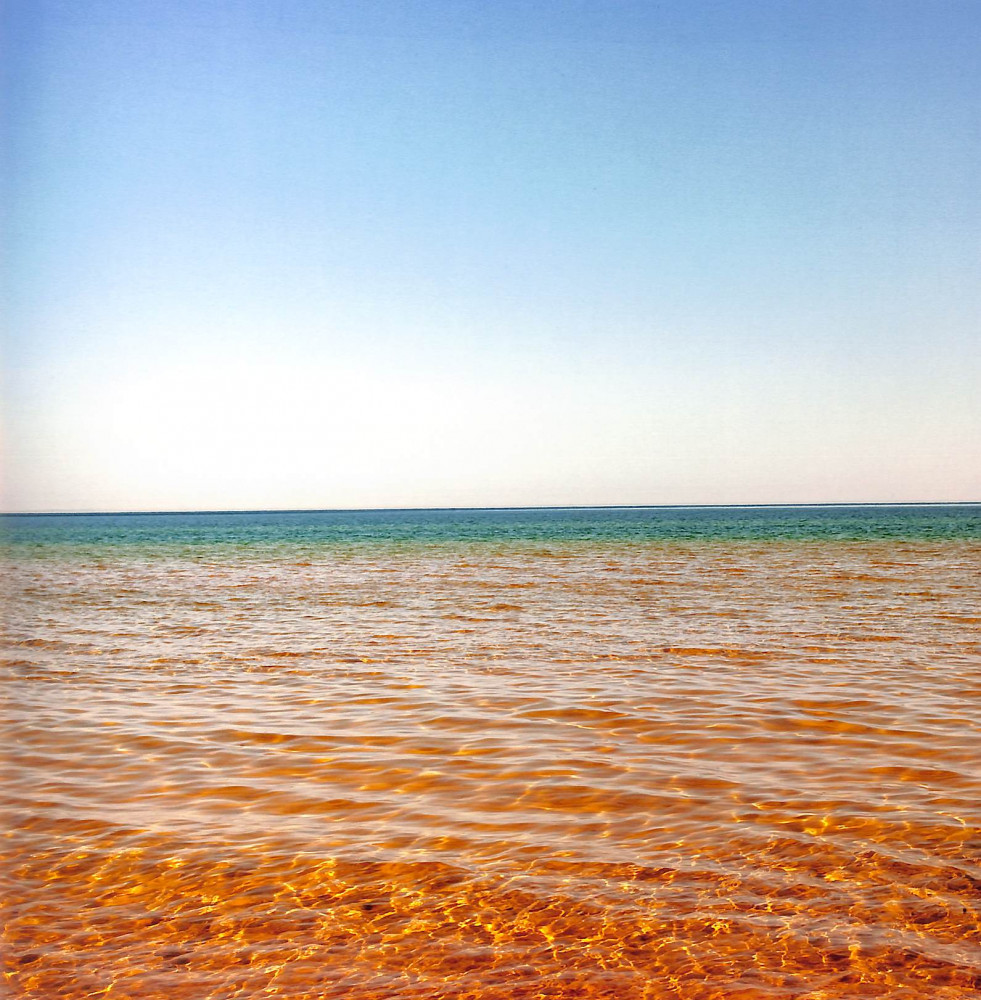 Lake Picture - Lucinda Devlin - Photographie - Mona lisait